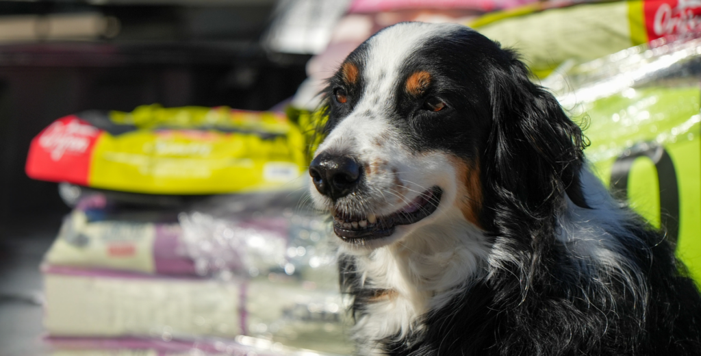 10 Years, 49 Million Meals, and One Shared Vision: Celebrating a Decade ...